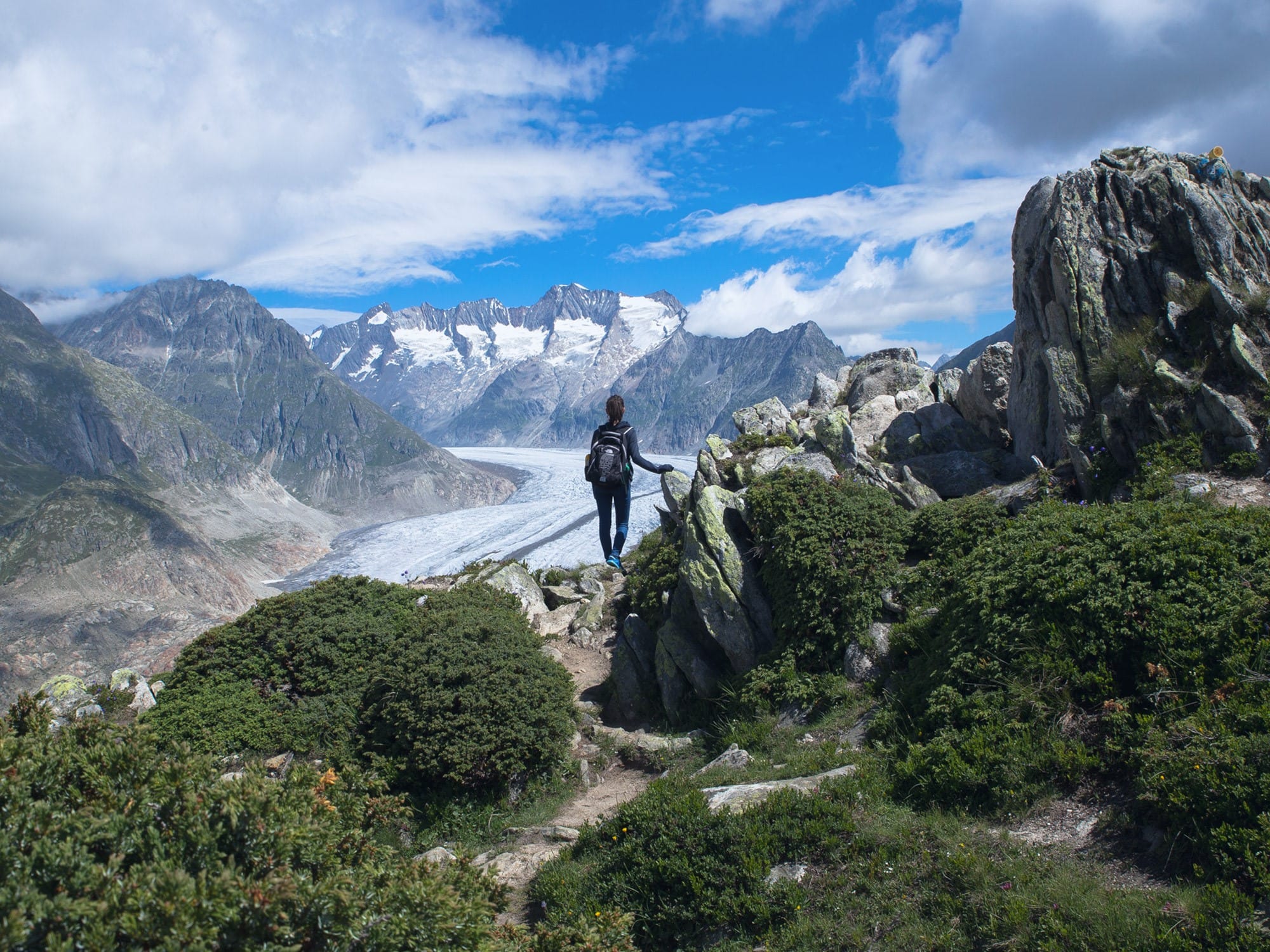 Knowledge Sharing Platform