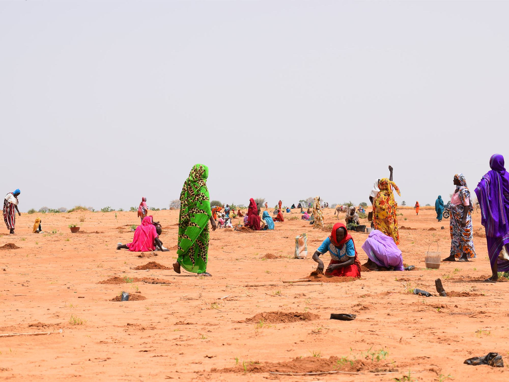 Climate Change, Peace and Security: Understanding Climate-Related ...