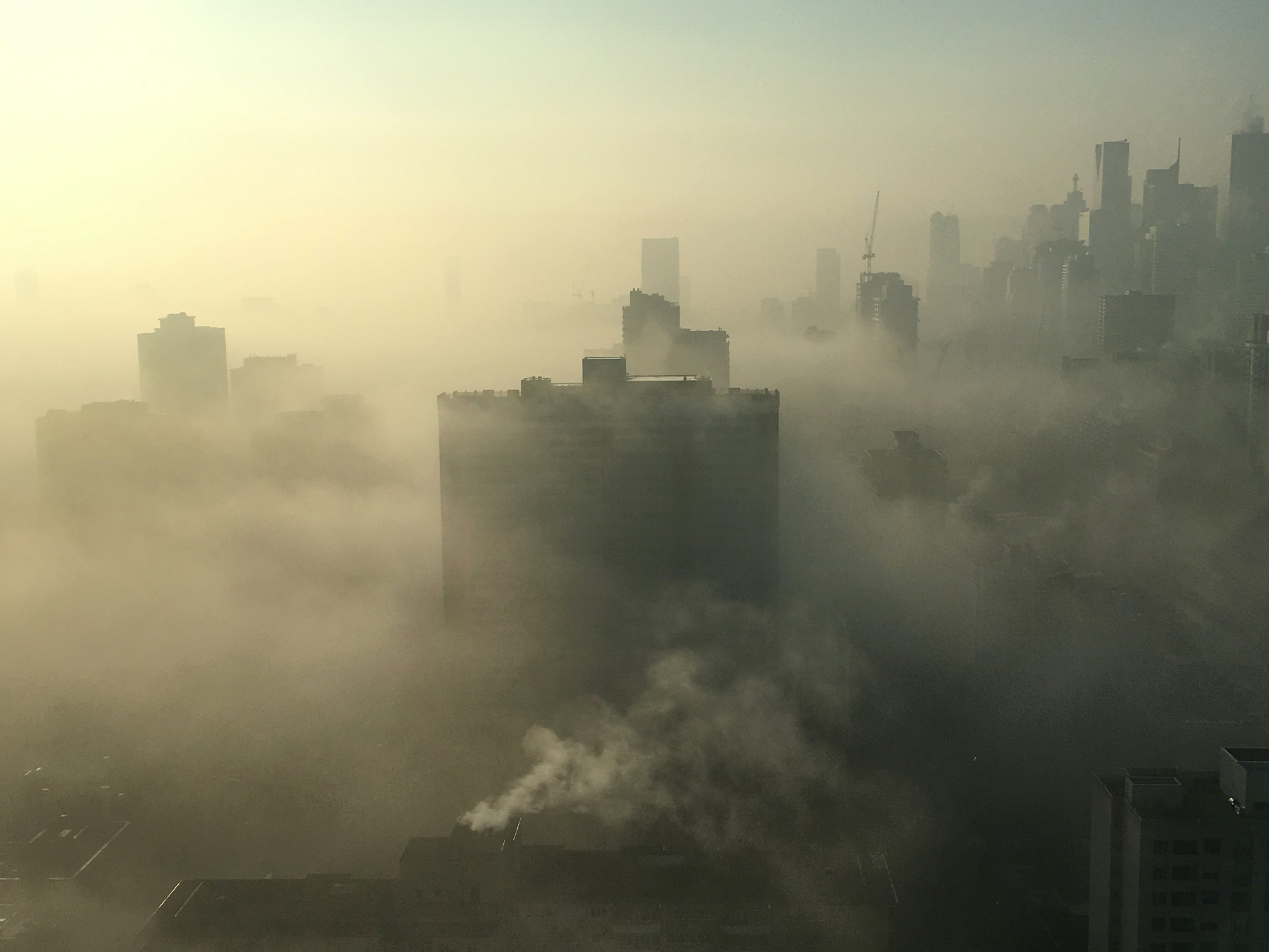 New Affiliated Course on the Air Convention and Its Protocols Is ...