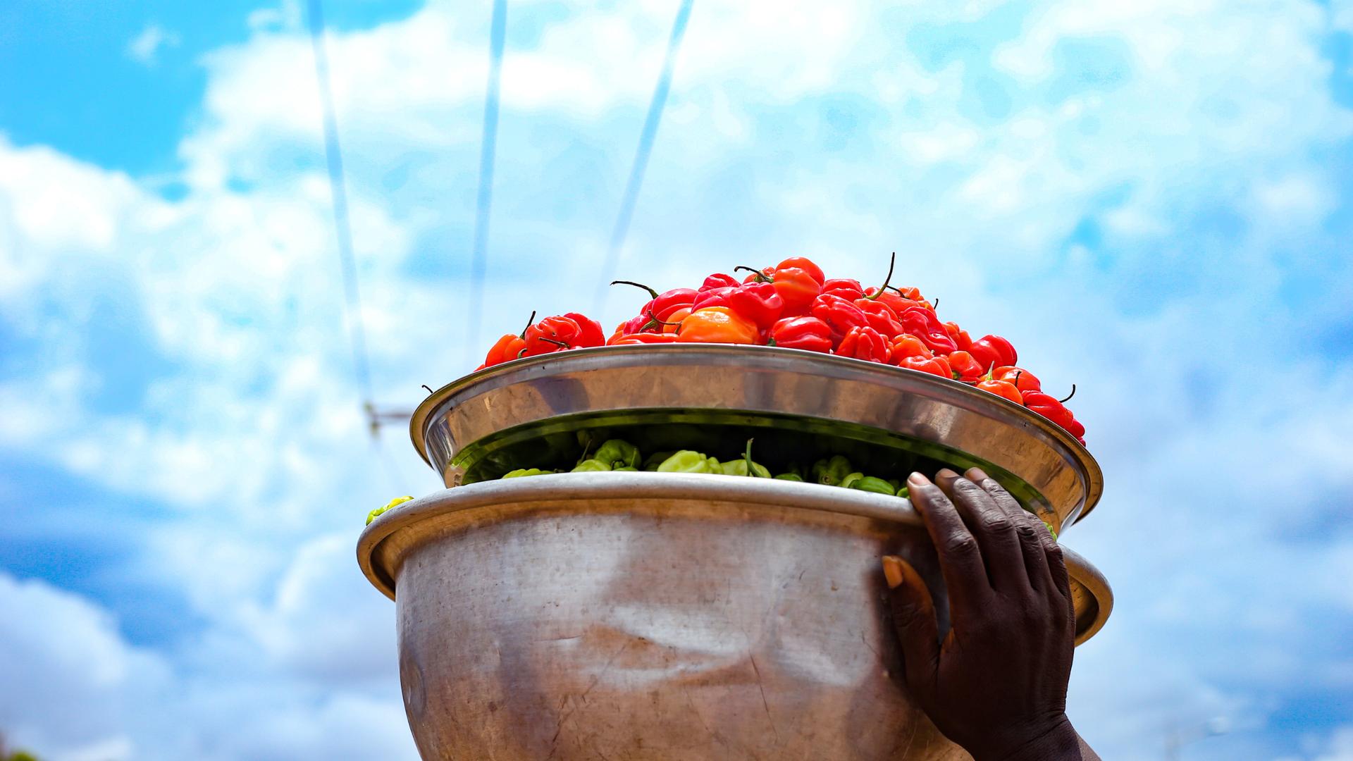 Knowledge Sharing Platform