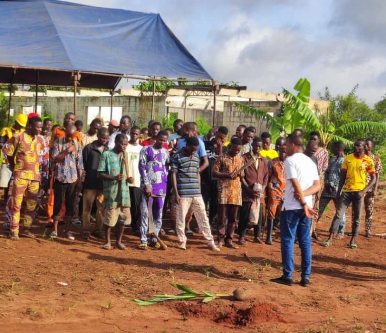 Benin Celebrates 40 Years of National Tree Day with Landmark Tree ...
